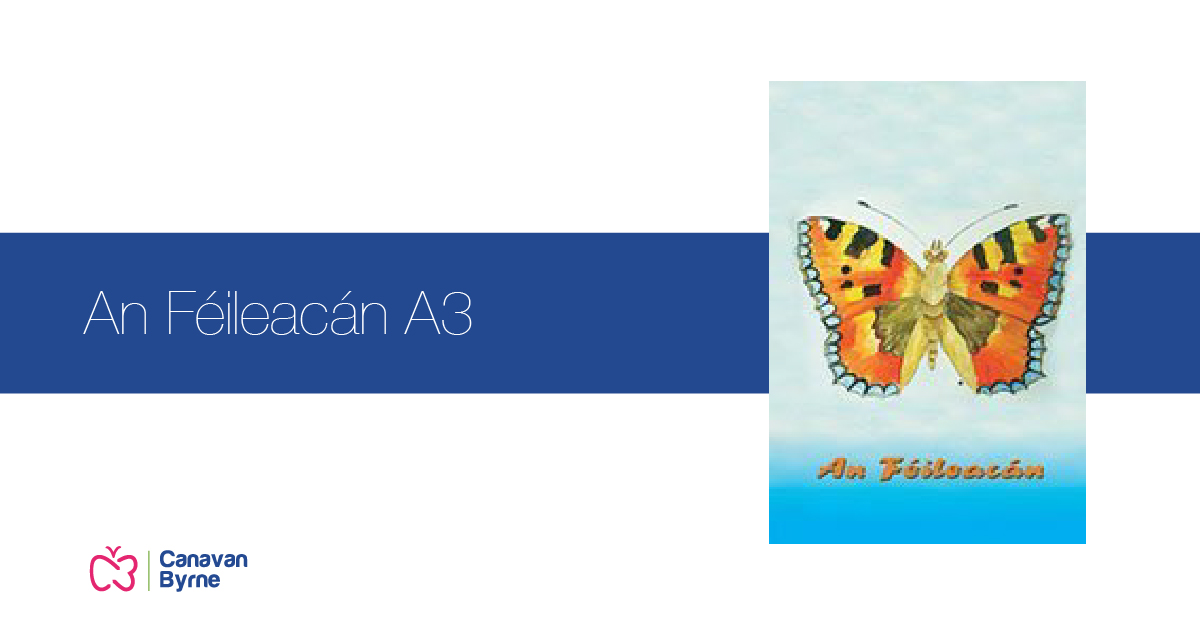 An Féileacán A3 size - Early Years Shop