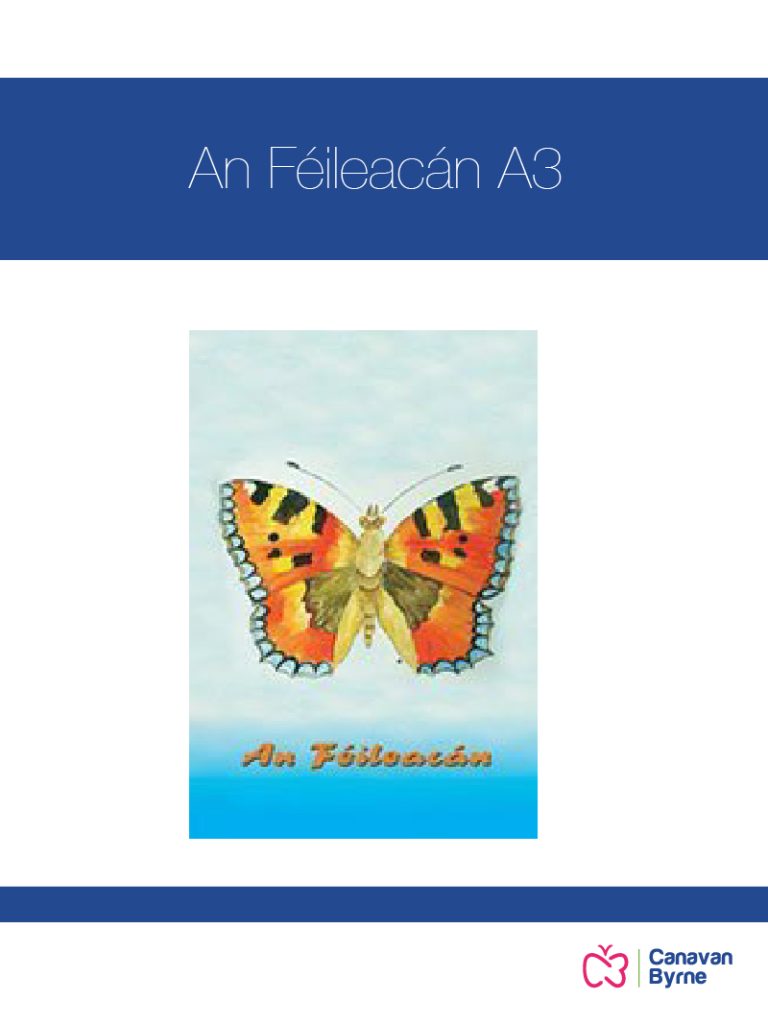 An Féileacán A3 size - Early Years Shop