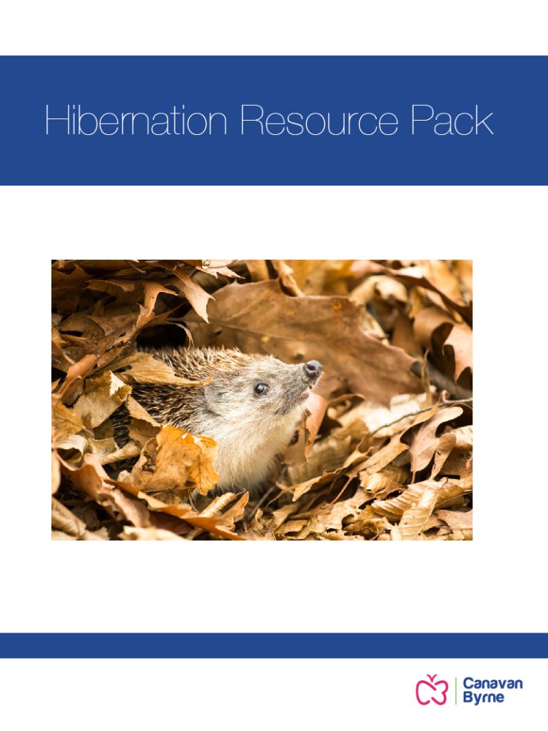 Hibernation Resource Pack - Early Years Shop