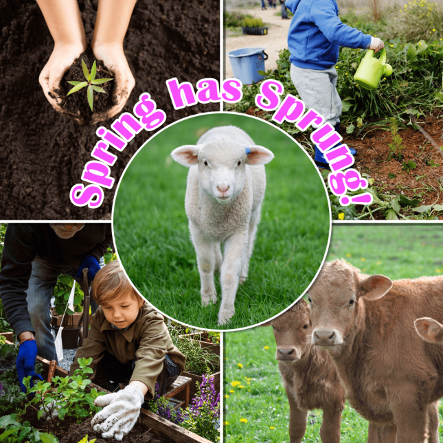 Time to brighten your classroom as Spring has Sprung - Early Years Shop