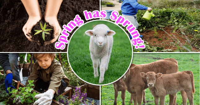 Time to brighten your classroom as Spring has Sprung.fb - Early Years Shop