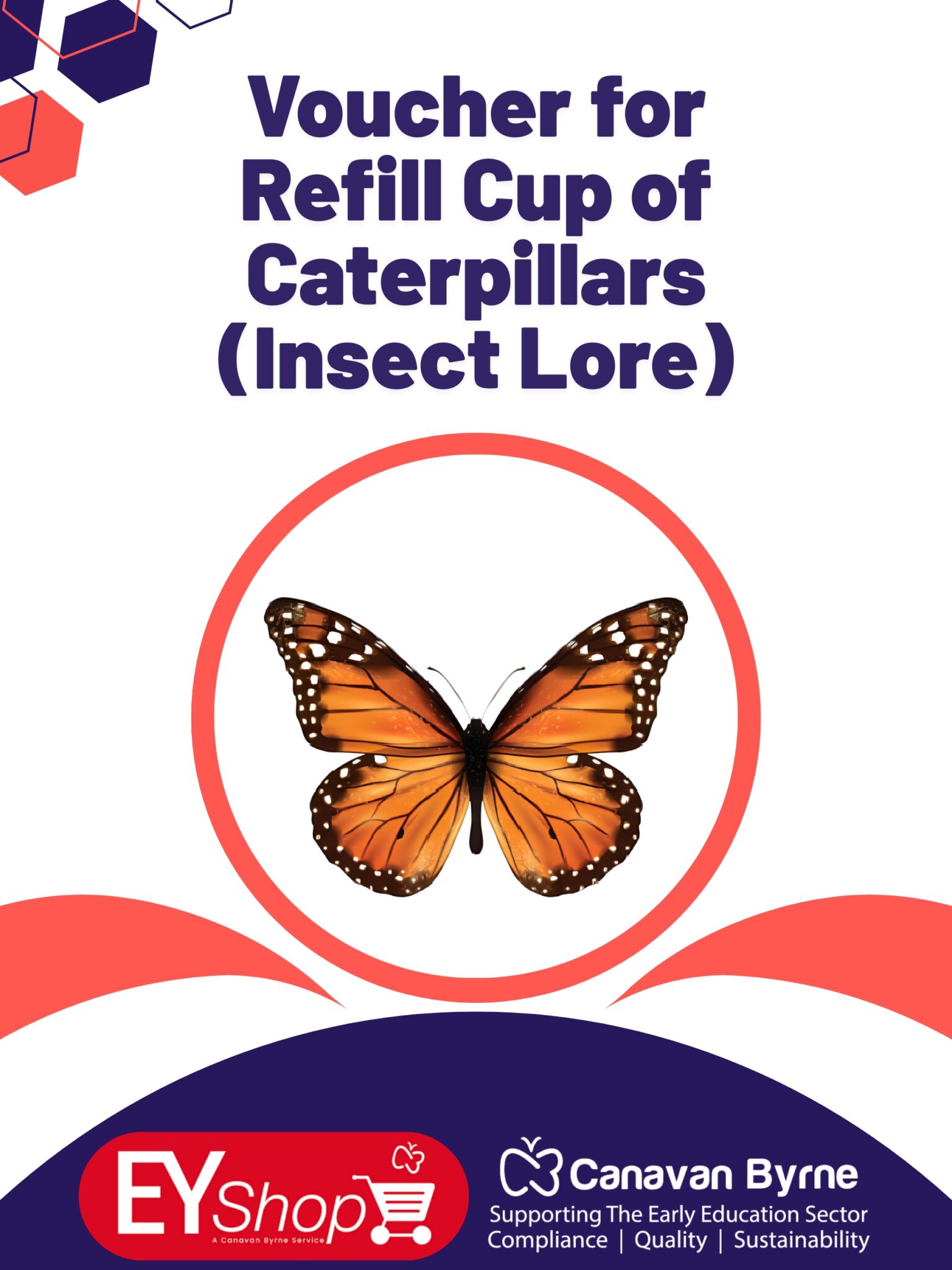 Voucher for Refill Cup of Caterpillars (Insect Lore) - Early Years Shop