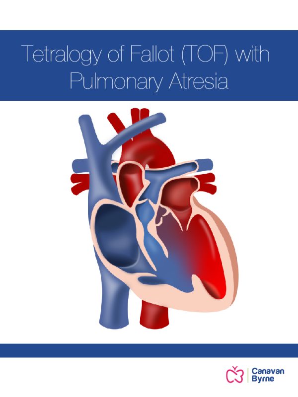 Tetralogy of Fallot (TOF) Care Plan - Early Years Shop