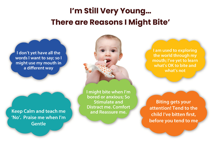 Care Room Visual Aid A3 Wipe Clean Poster Bundle - Early Years Shop