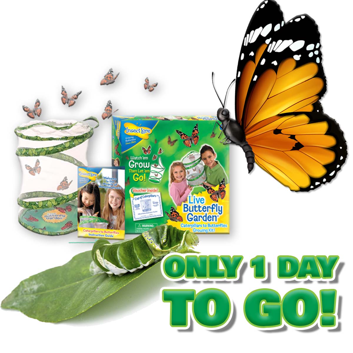 Butterfly Season - Only One Day To Go! - Early Years Shop