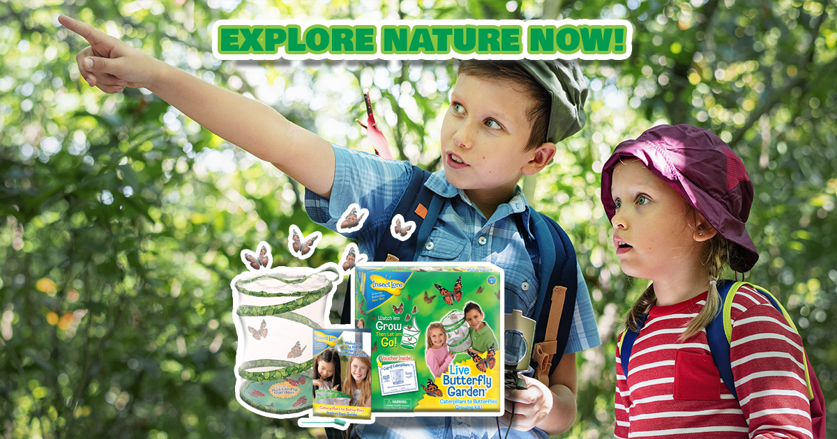 Explore Nature and the Outdoors This Spring! - Early Years Shop