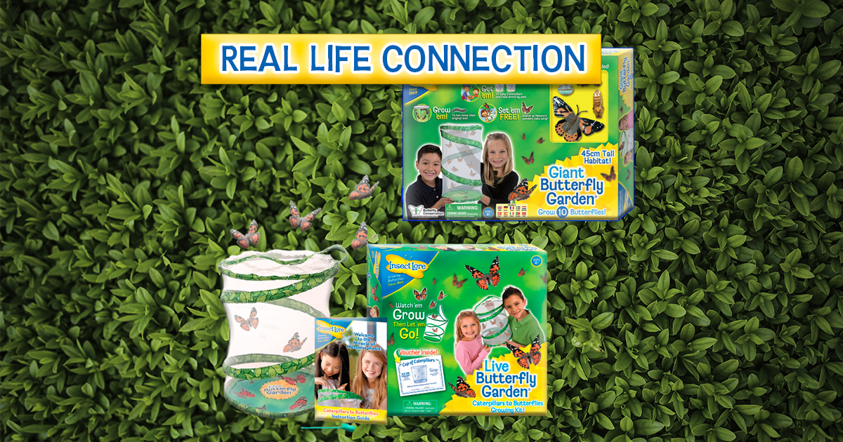Real Life Connection This Spring with Insect Lore Butterfly Gardens ...